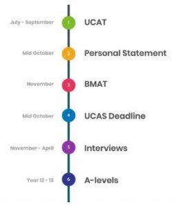 A Timeline for Applying to Medical School in 2024 - Oxbridge Mind
